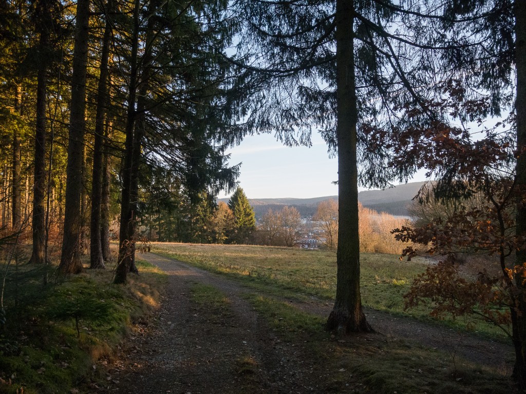 Wandertipp mit Hund in Wolfshagen im Harz