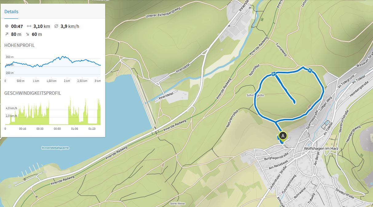 Wandertipp mit Hund in Wolfshagen im Harz