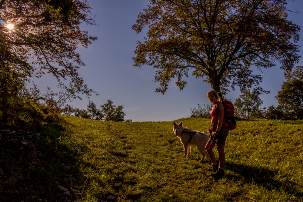 Urlaub Mit Hund Im Altmuhltal