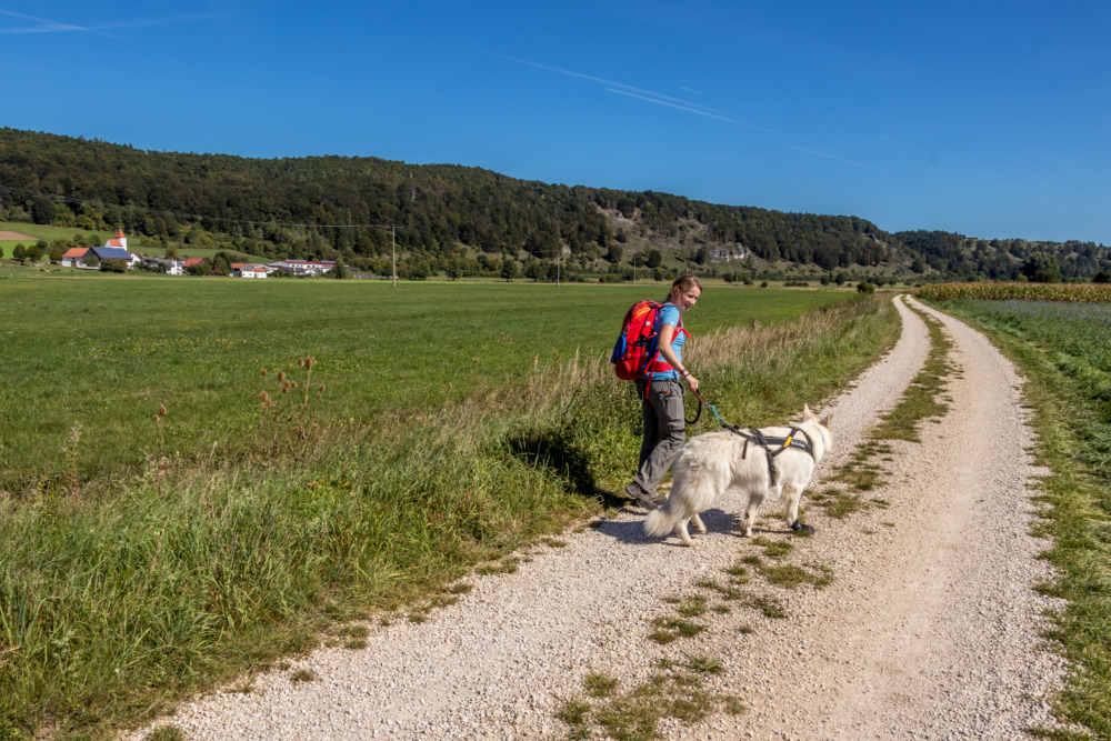 Urlaub Mit Hund Im Altmuhltal