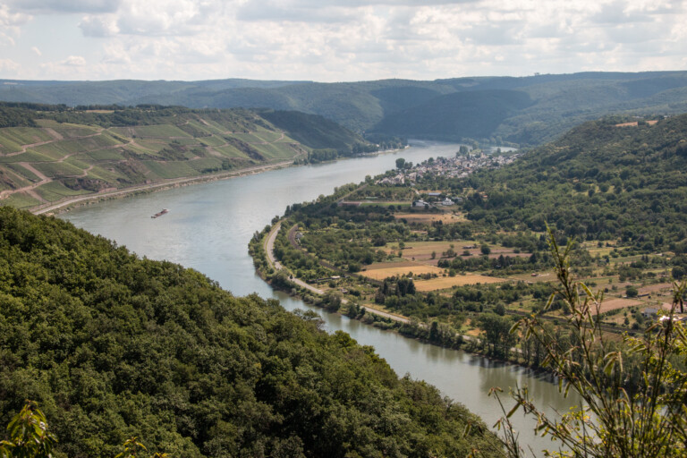 Urlaub mit Hund im Klostergut Jakobsberg